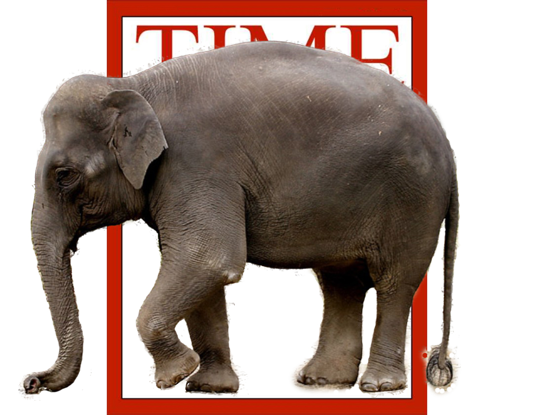 TIME 2012 Person of the Year – MOOC | Educational Technology and Change ...